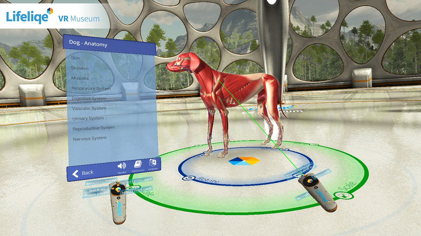 VR Game: Lifeliqe VR Museum